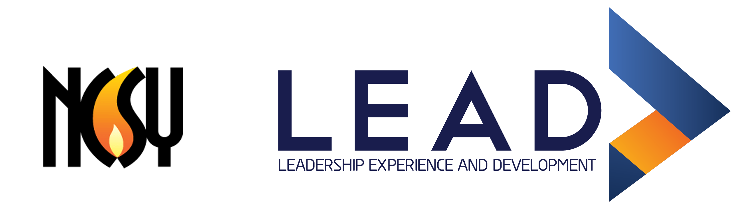 Home | NCSY Institute